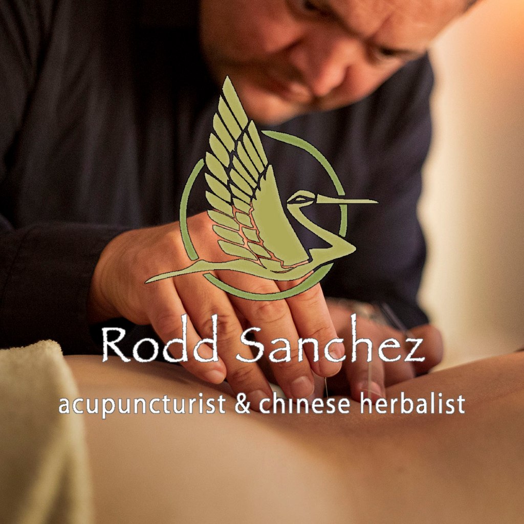 Acupuncture Sydney, Chinese herbal medicine Sydney, cupping Sydney ...
